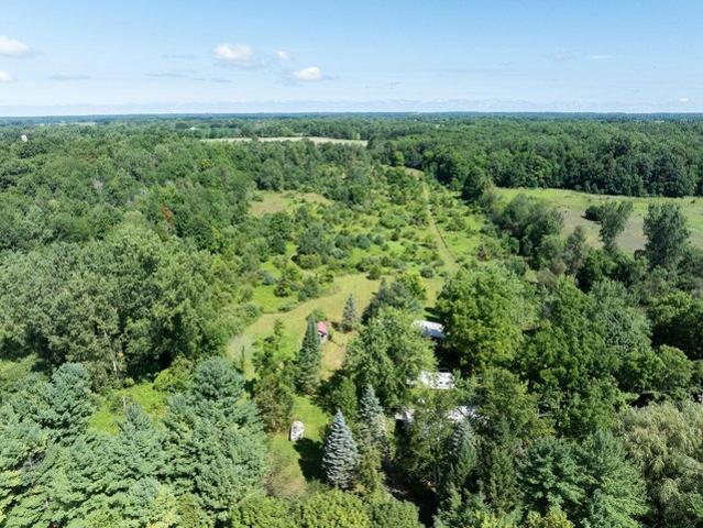 7340 Culbert Rd, Osseo, MI 49266