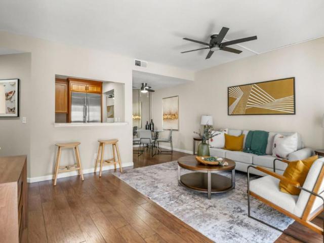 734 Northrup Street 225