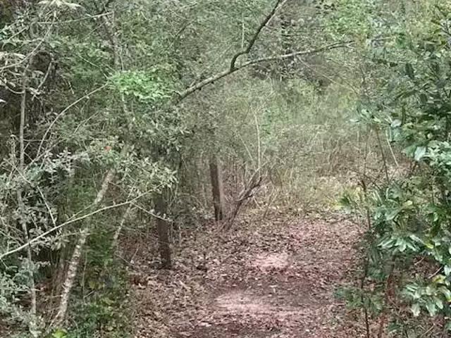 7355 CHUNCHULA GEORGETOWN RD, CHUNCHULA, AL 36521 Vacant Land.