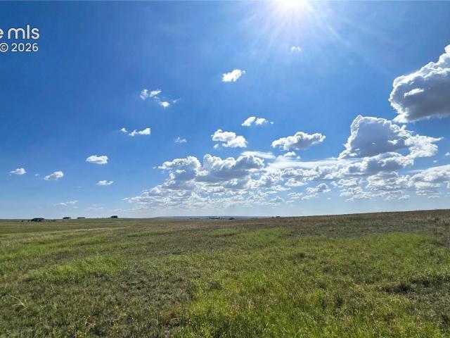 7355 Cowboy Ranch View