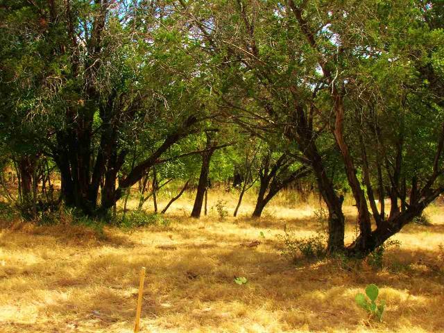 735 Birch. Lots Street, Horseshoe Bay, TX 78657 | MLS #176123