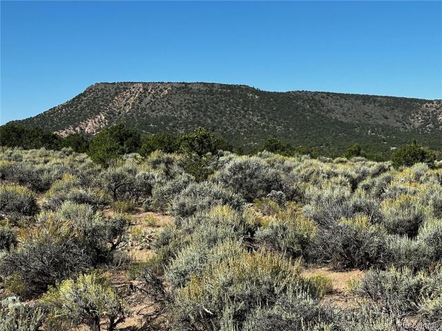 735 Slegers Rd, Fort Garland, CO 81133 | MLS #7719