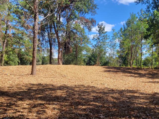 735 Stonewall Jackson Dr, Conroe, TX 77302 | MLS #58885