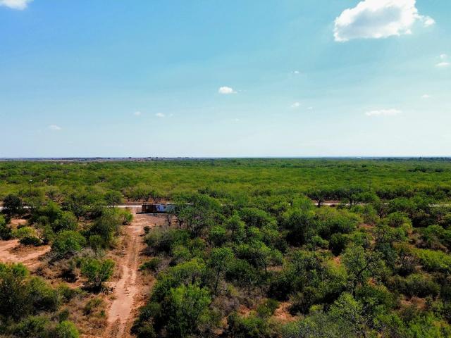 7365 Leal Rd, Pleasanton, TX 78064 | MLS #1912