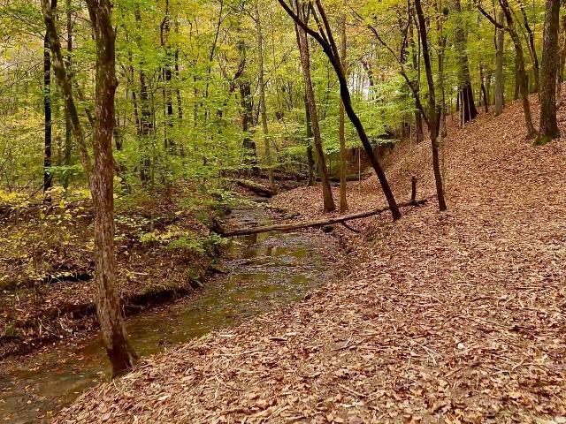 7368 Overbey Rd, Fairview, TN 37062 | Compass