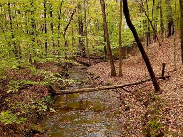 7368 Overby Rd, Fairview, TN 37062
