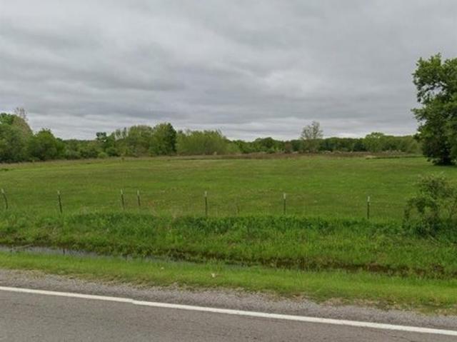 7369 N Webster Rd, Mount Morris Township, MI 48458