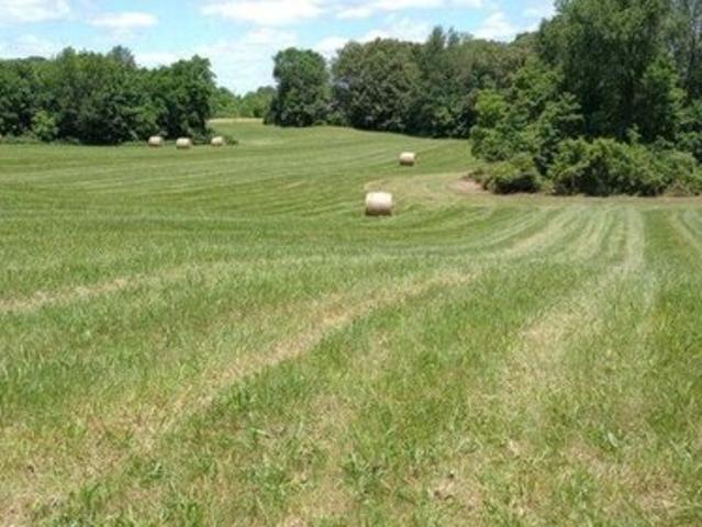 7360 Morgantown Rd, Franklin, KY 42134