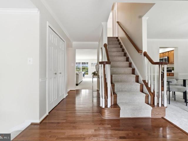 7362 Silver Pine Drive