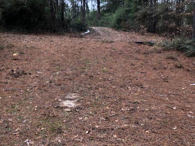 736 Private Road 1284, Centerville, TX 75833 | MLS #17610