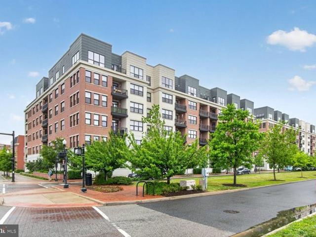 737 Swann Ave Apt 310, Alexandria, VA 22301