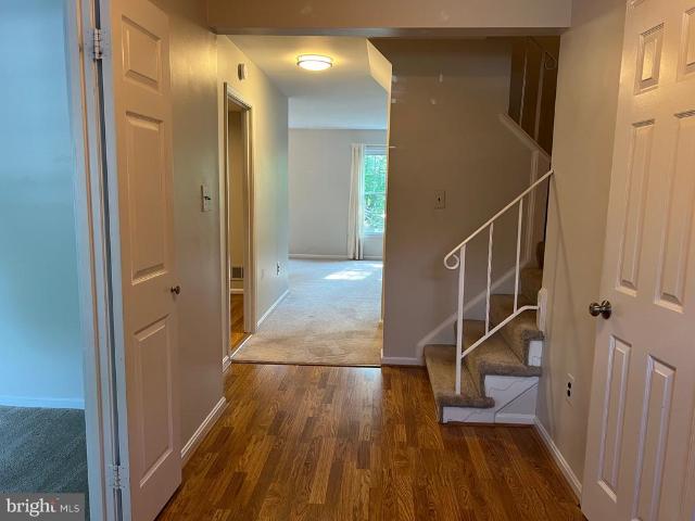 7384 Jiri Woods Court