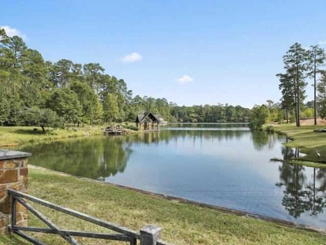 7389 Teaswood Dr, Conroe, TX 77304