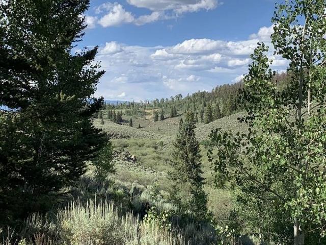 738 Blue Mesa Dr, Powderhorn, CO 81243