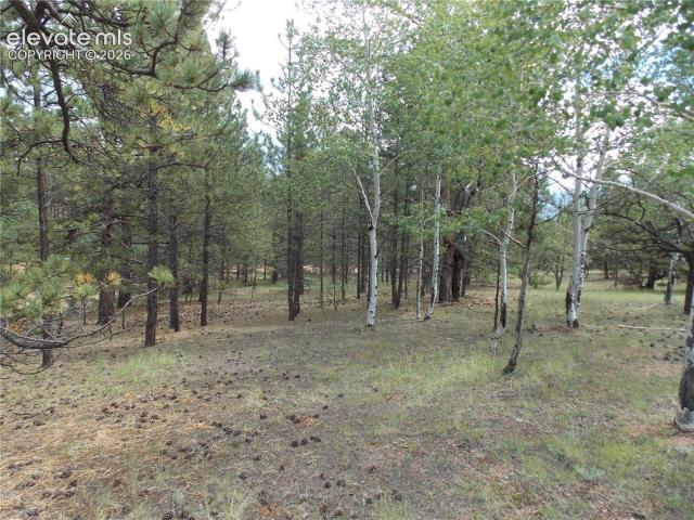 738 Black Mesa Circle