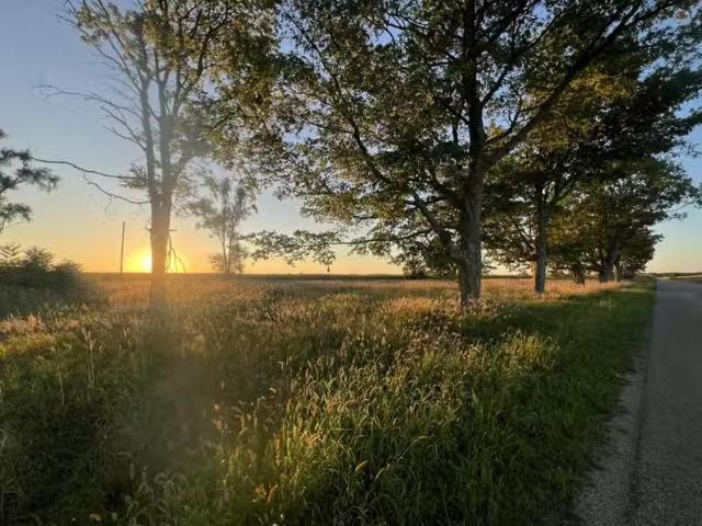 738 GILEAD LAKE RD, BRONSON, MI 49028 Vacant Land For Sale ML.