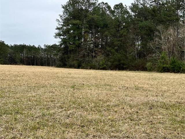 738 Paradise Rd, Ball, LA 71405 | MLS #CN2485
