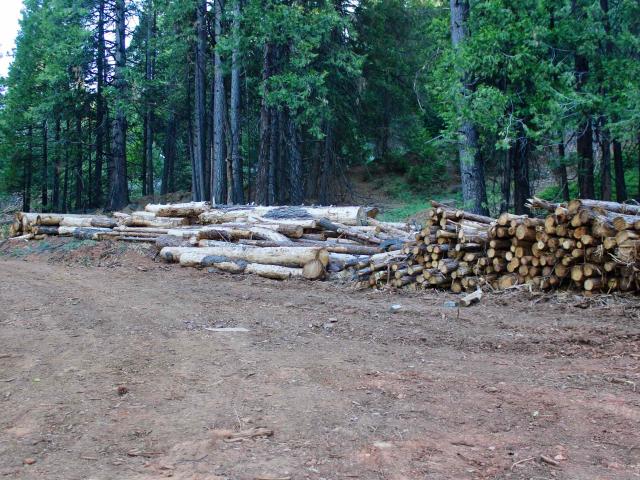 7398 Highway 147, Lake Almanor, CA 96137 | MLS #20250