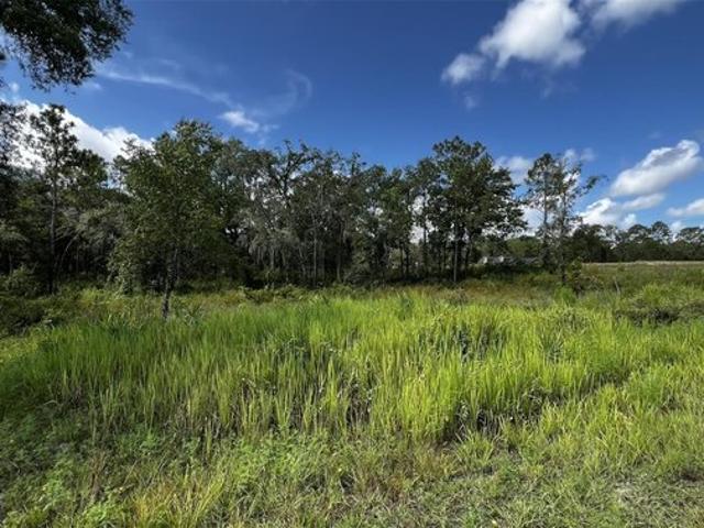 7398 Wagers Dr, Webster, FL 33597