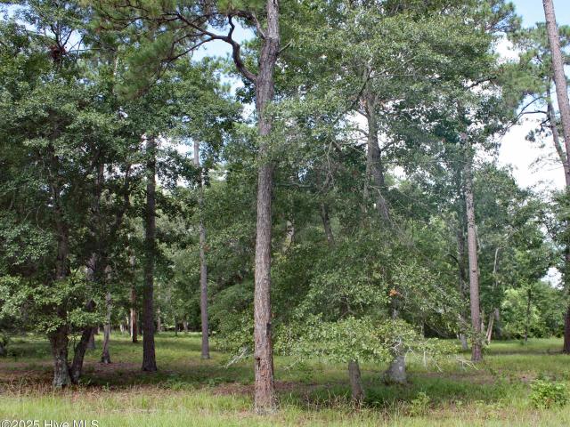 739 Loblolly Drive SW # 11