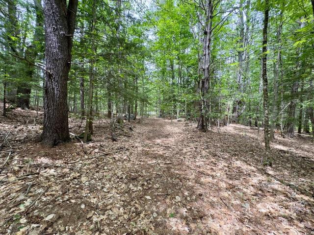 77 79 Province Road # Map 2 Lot 8 aka 77 79