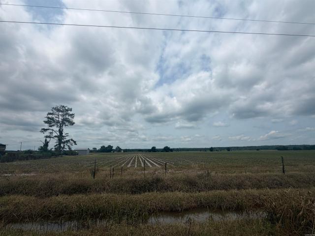 77.7 Acres Pineview Rd/Benson Ln