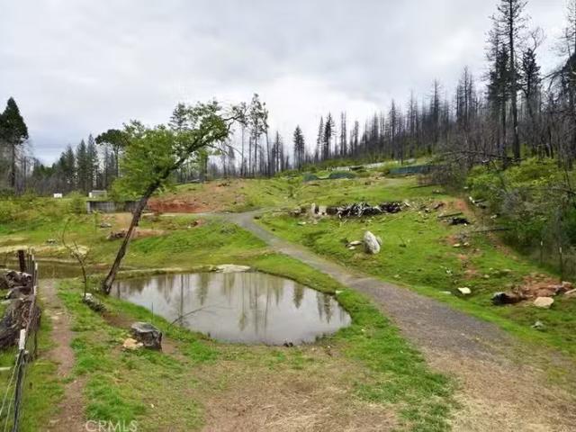 77 Webster Rd, Berry Creek, CA 95916 MLS OR24081990