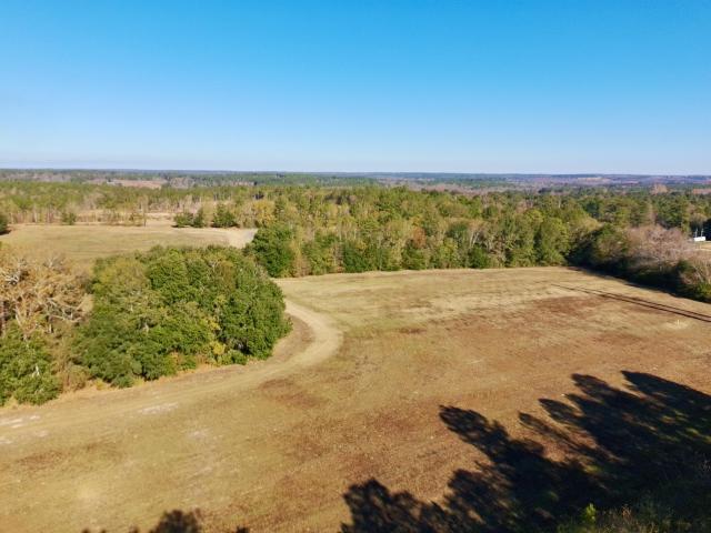 77 Acres Wagener Road