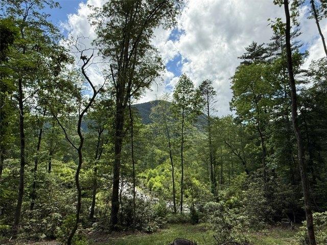 77 Cats Eye Run Lot 15D, Highlands, NC 28741