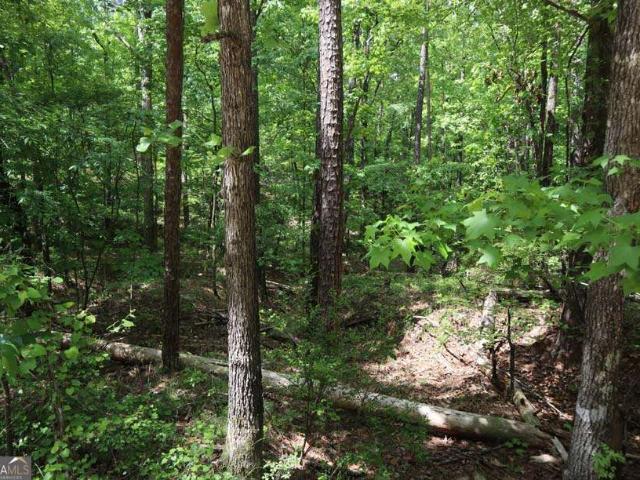 77 Cherokee Rd NE, Sparta, GA 31087 | MLS #10693