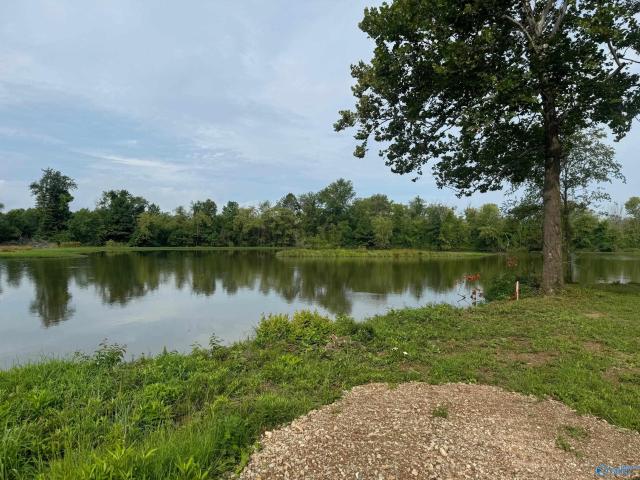 77 County Road 115