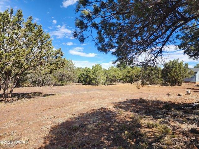 77 County Road 3077, Vernon, AZ 85940