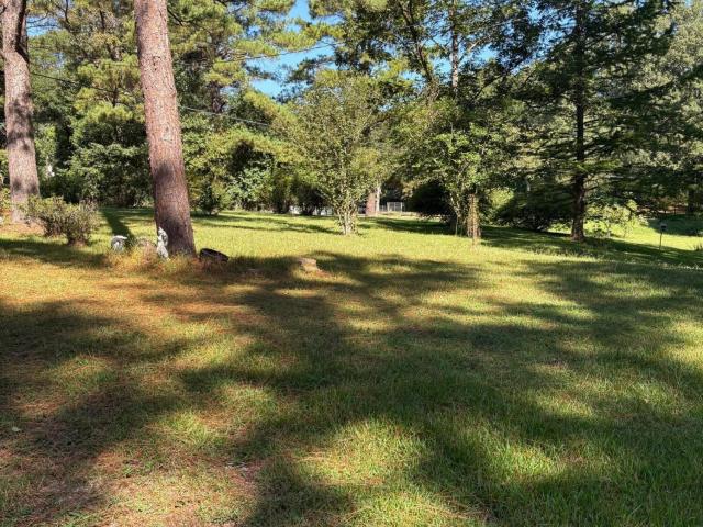 77 Magnolia Acres Rd, Natchez, MS 39120 | MLS #4126 | Compass