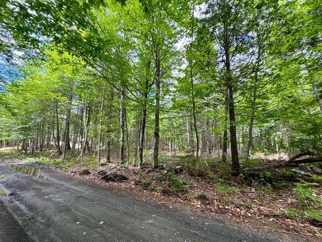 77 Orchard Rd, Guilford, ME 04443