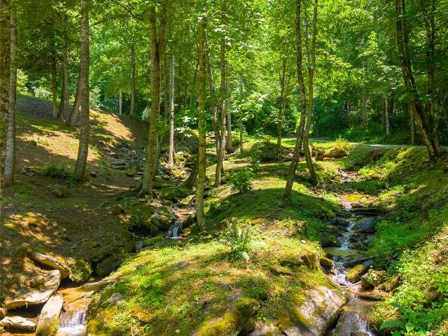 77 Pigeon Creek Trail