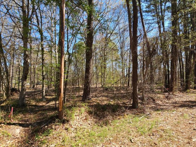 77 Pirate Cove Way # 77
