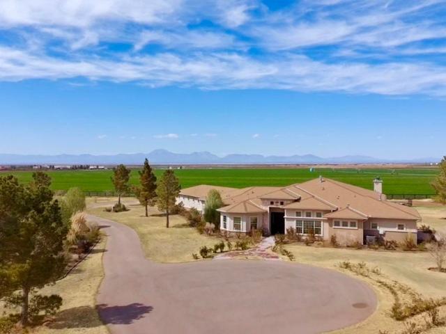 77 Schoeller Pl, Tularosa, NM