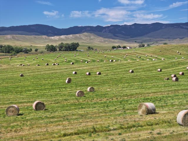 77 Sand Crk Rnch Rd, Buffalo, WY 82834 | MLS #25 470