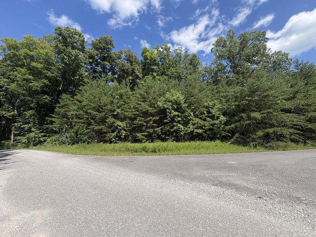 77 Sandstone Point Trl, Monticello, KY 42633