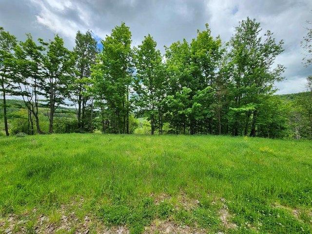 77 Sperry Young Rd, Sabinsville, PA 16943