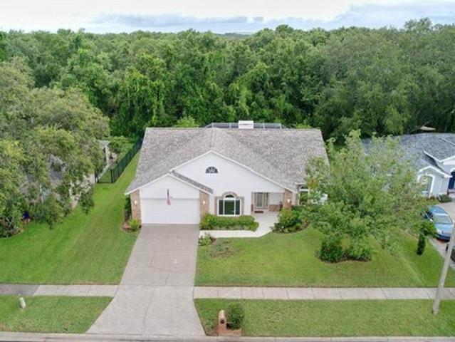 7406 Mint Julep Dr, Riverview, FL 33578