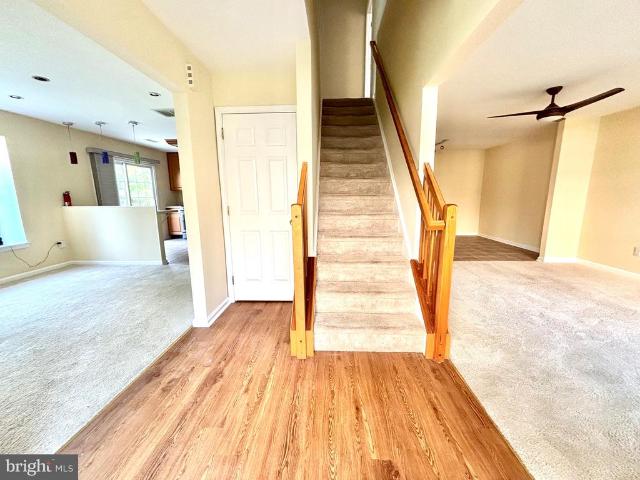 7408 Baltimore Drive