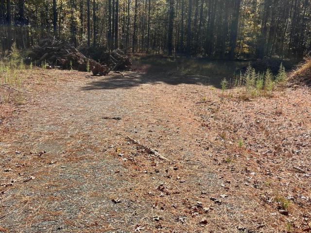 7409 Guess Rd, Hillsborough, NC 27278 | MLS #10162 | Compass