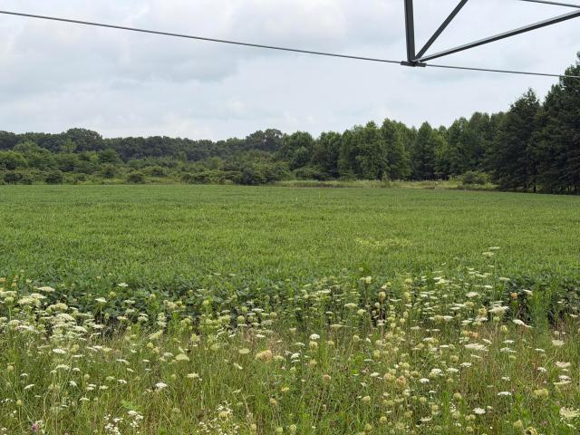 7400 County Line Road