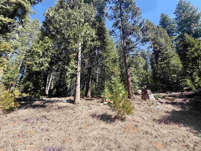 7400 Highway 147, Lake Almanor, CA 96137
