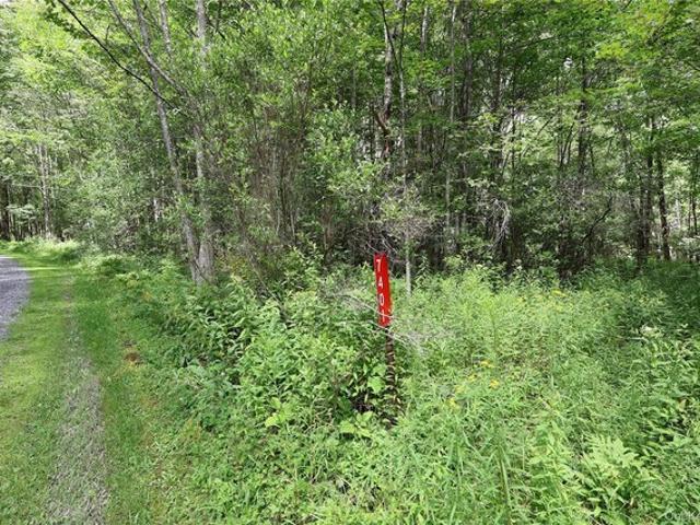 7401 Millbrook Rd, Arkville, NY 12406