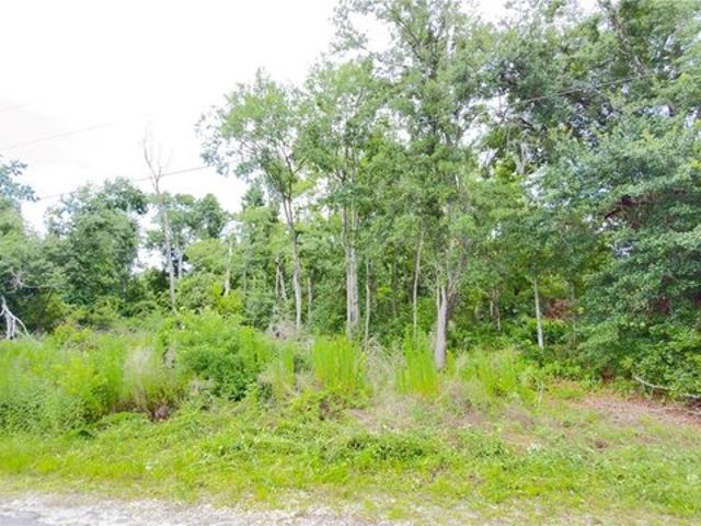 7402 Land Dr, Wesley Chapel, FL 33545