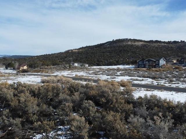 740 SE Pinyon St, Cedaredge, CO 81413