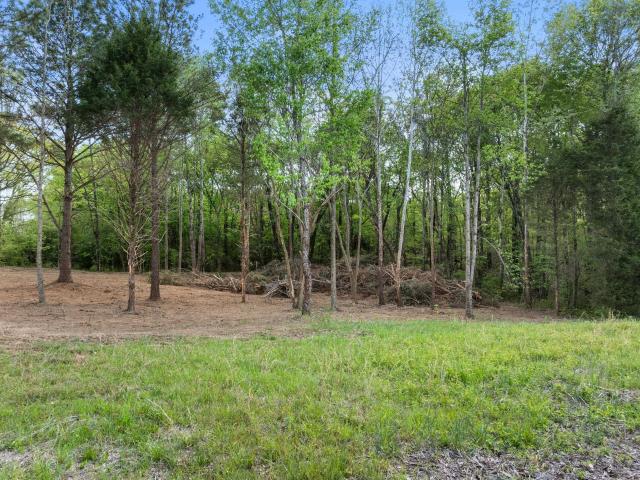 7415 Hwy 64