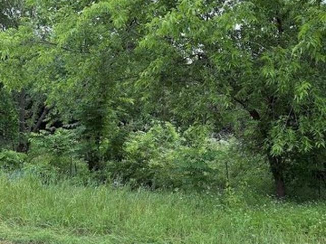 7419 Cottonwood Creek Rd, Fort Worth, TX 76135